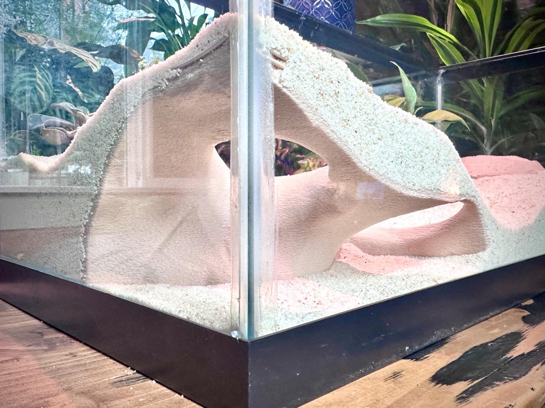 Corner Aquarium Terrarium Cave Hideout – Decorative Shelter for Fish ...