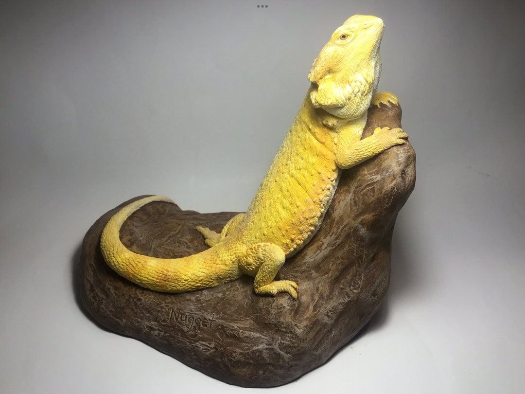 Bearded Dragon Sculpture on Rock Base Life Size Female Yellow Realistic ...