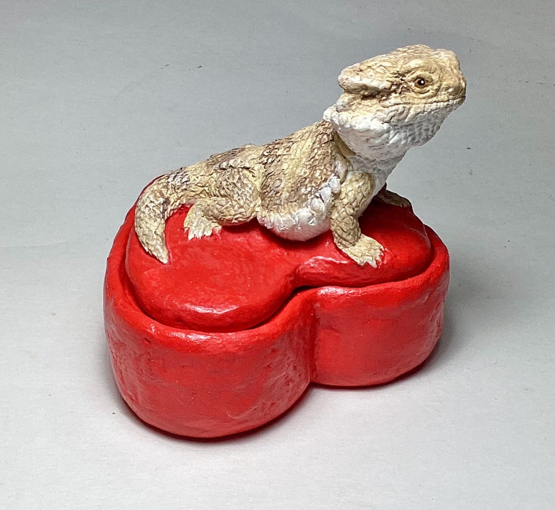 Bearded Dragon NEW Heart Box or Urn Normal True Red Valentine's Day - Etsy