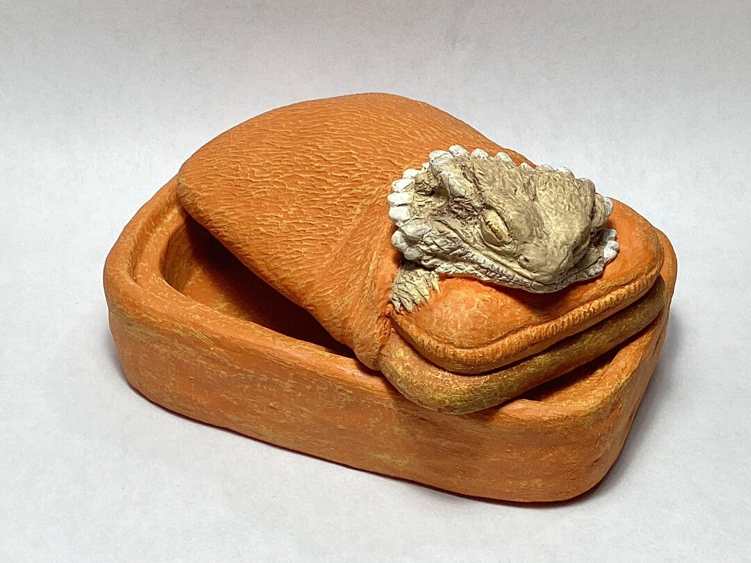 Bearded Dragon Box or Urn Nighty Night Normal Color and Orange Bed - Etsy