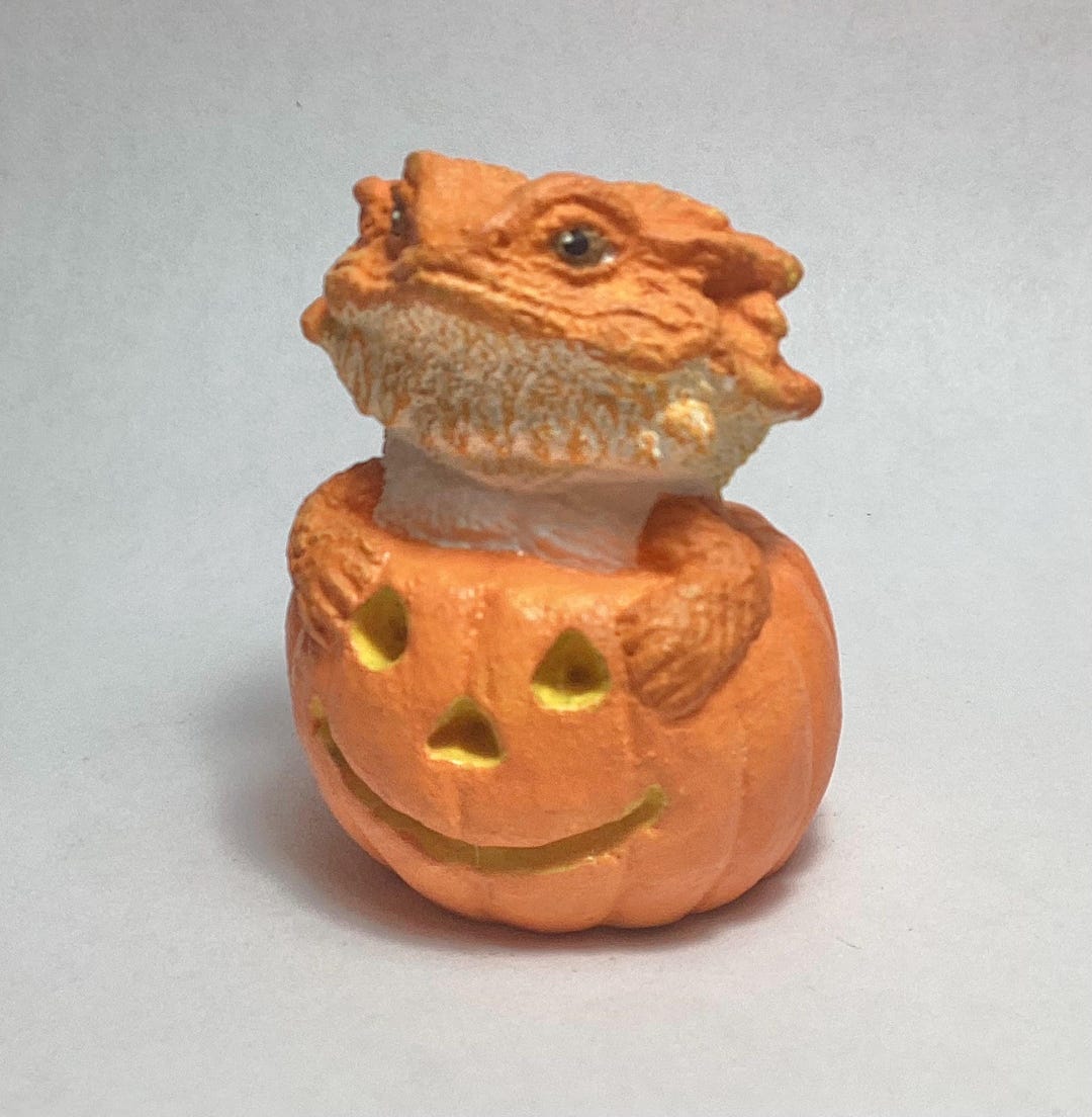 Bearded Dragon Halloween Pumpkin Figurine Orange /yellow - Etsy