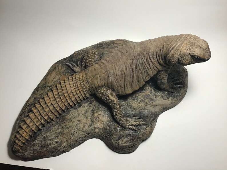 Egyptian Uromastyx Lizard Sculpture Realistic Hand Painted - Etsy