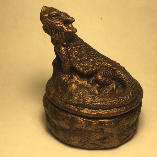 Bearded Dragon Box - Etsy