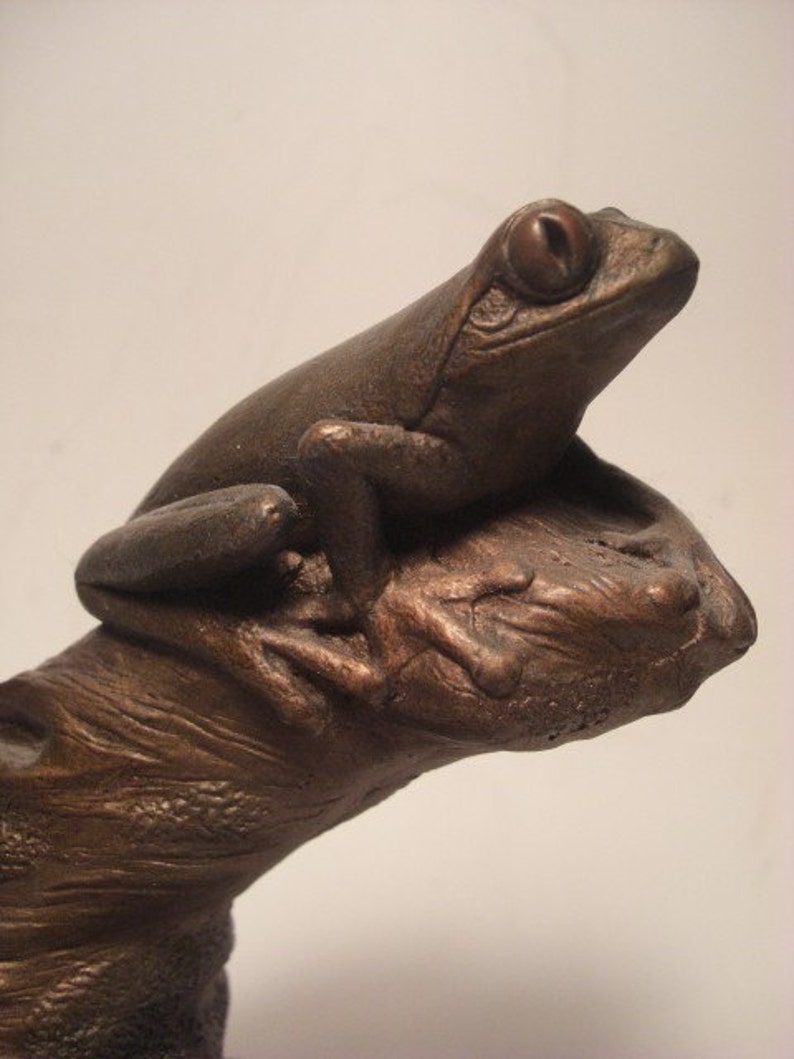 Red Eye Tree Frog Sculpture - Etsy