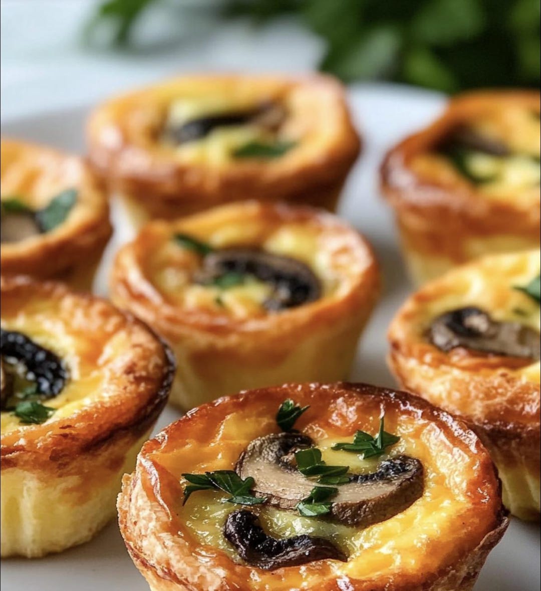 Best Recipe for Mini Mushroom and Spinach Quiche, Easy Recipe ...