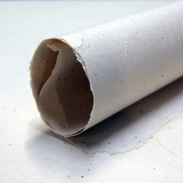 Seeded Paper - Etsy