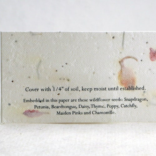 Petal Paper Favor Box Made From Seed Paper 1.75 Rustic - Etsy