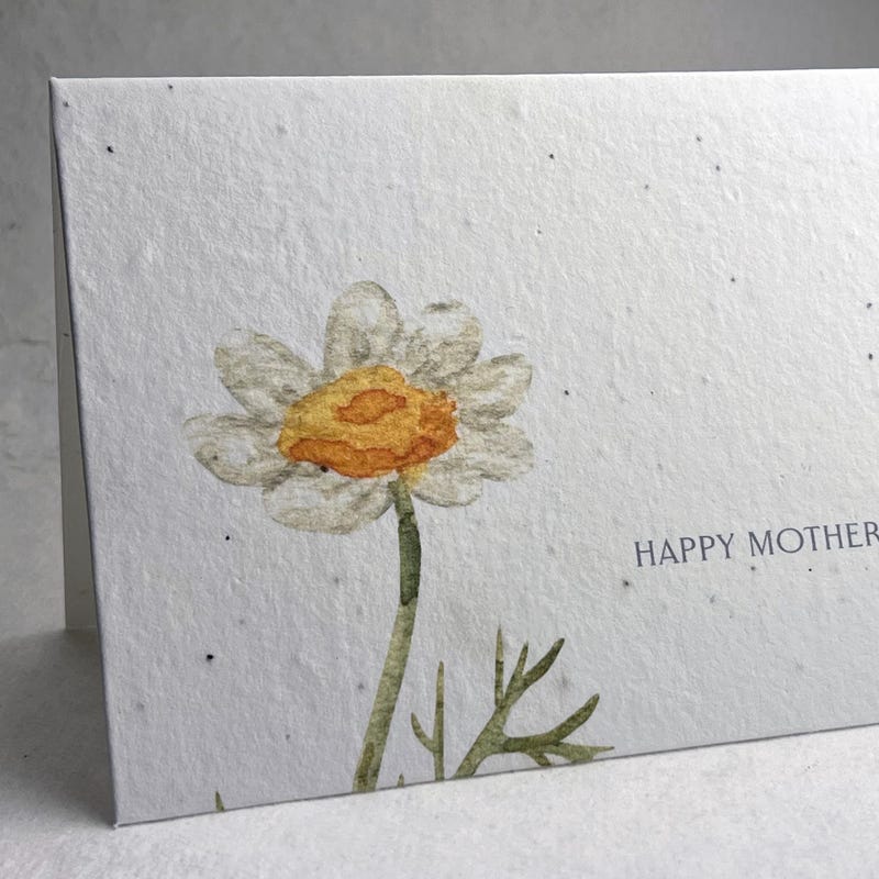 Daisy Note Cards - Etsy