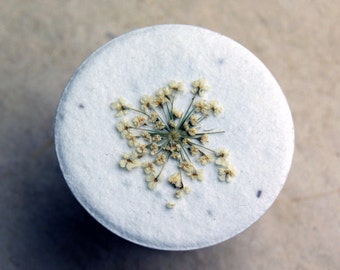 Mini Daisy 1.5 Real Pressed Flower Decorating Stickers | Etsy
