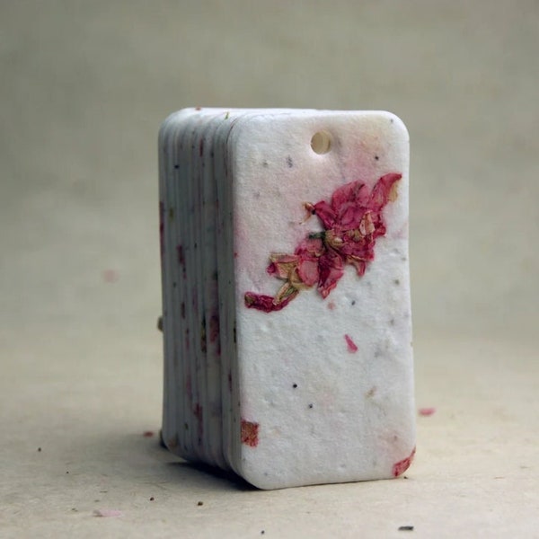 Seed Paper Tags - Etsy