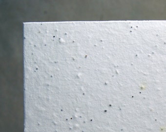 Handmade Seed Paper White Cotton With Wild Flower Seeds 32 | Etsy