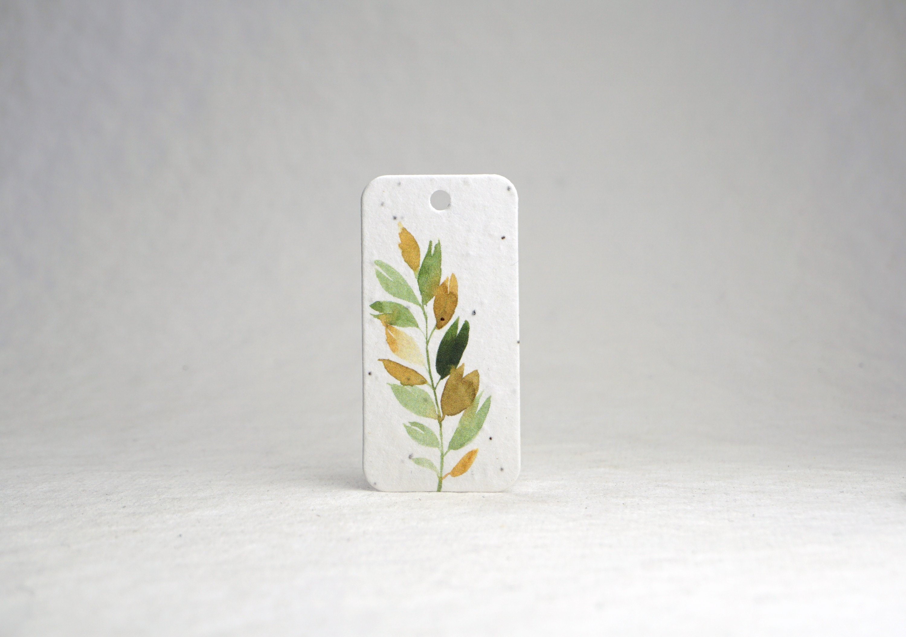 Green Bamboo Leaf Tag Set of 10 Seed Paper Hang Tags 3 - Etsy