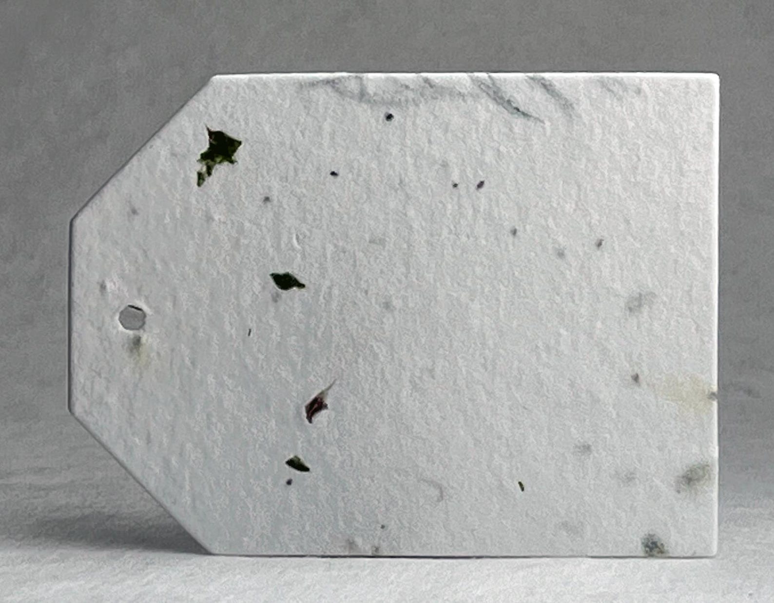 Seed Paper Tags 2.5" Wide by 3.375" Tall Wildflower Handmade Paper ...