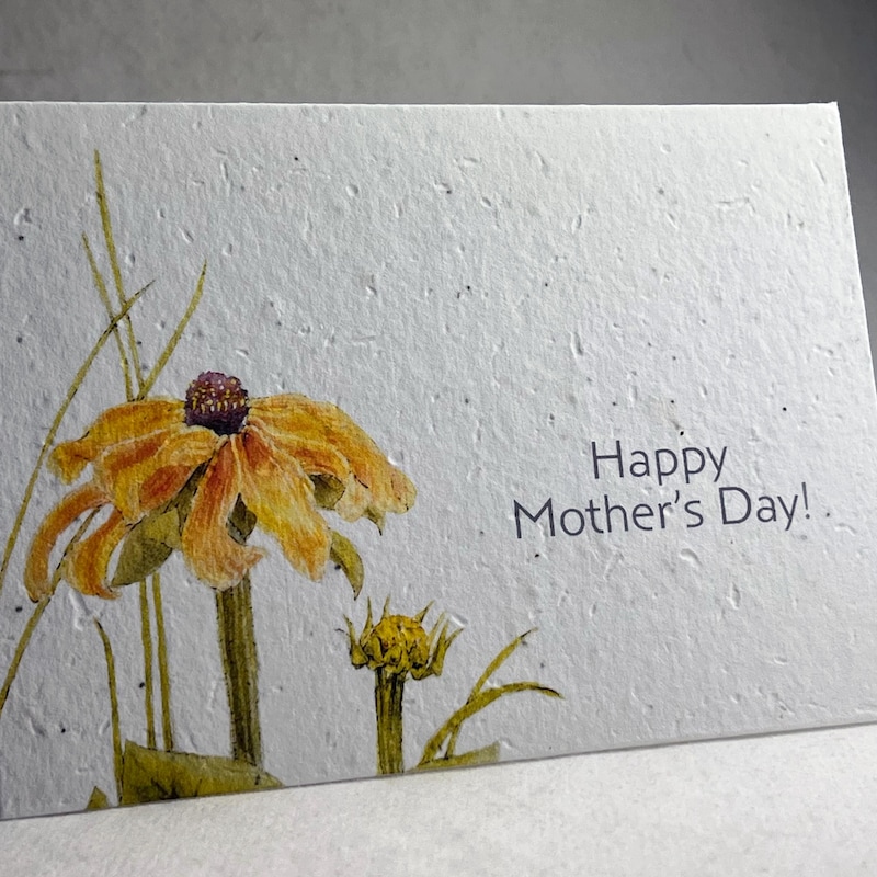 Mother Day Card Plantable - Etsy