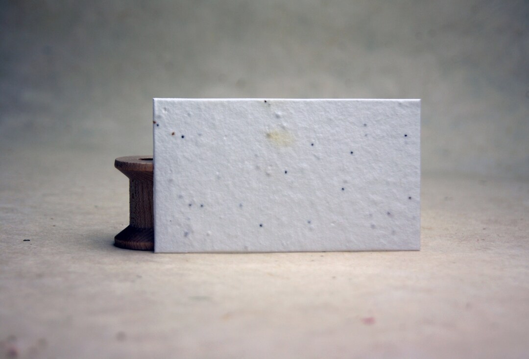 Handmade Seed Paper White Cotton With Wild Flower Seeds - 24 Cards #10s ...