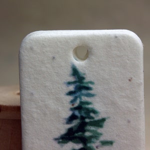 Green Tree Gift Tag Seed Paper Hangtags 3" Long by 1.5" Wide Holiday 10 ...
