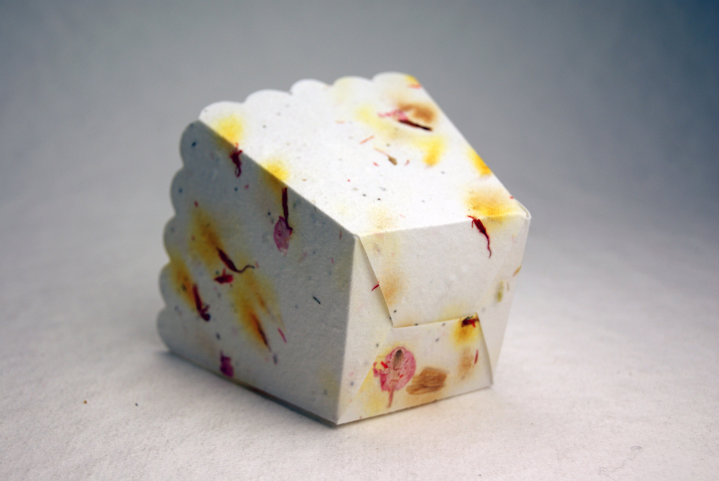 Petal Paper Favor Box Made From Seed Paper 3 X 2.5" Popcorn Tub - Pick ...