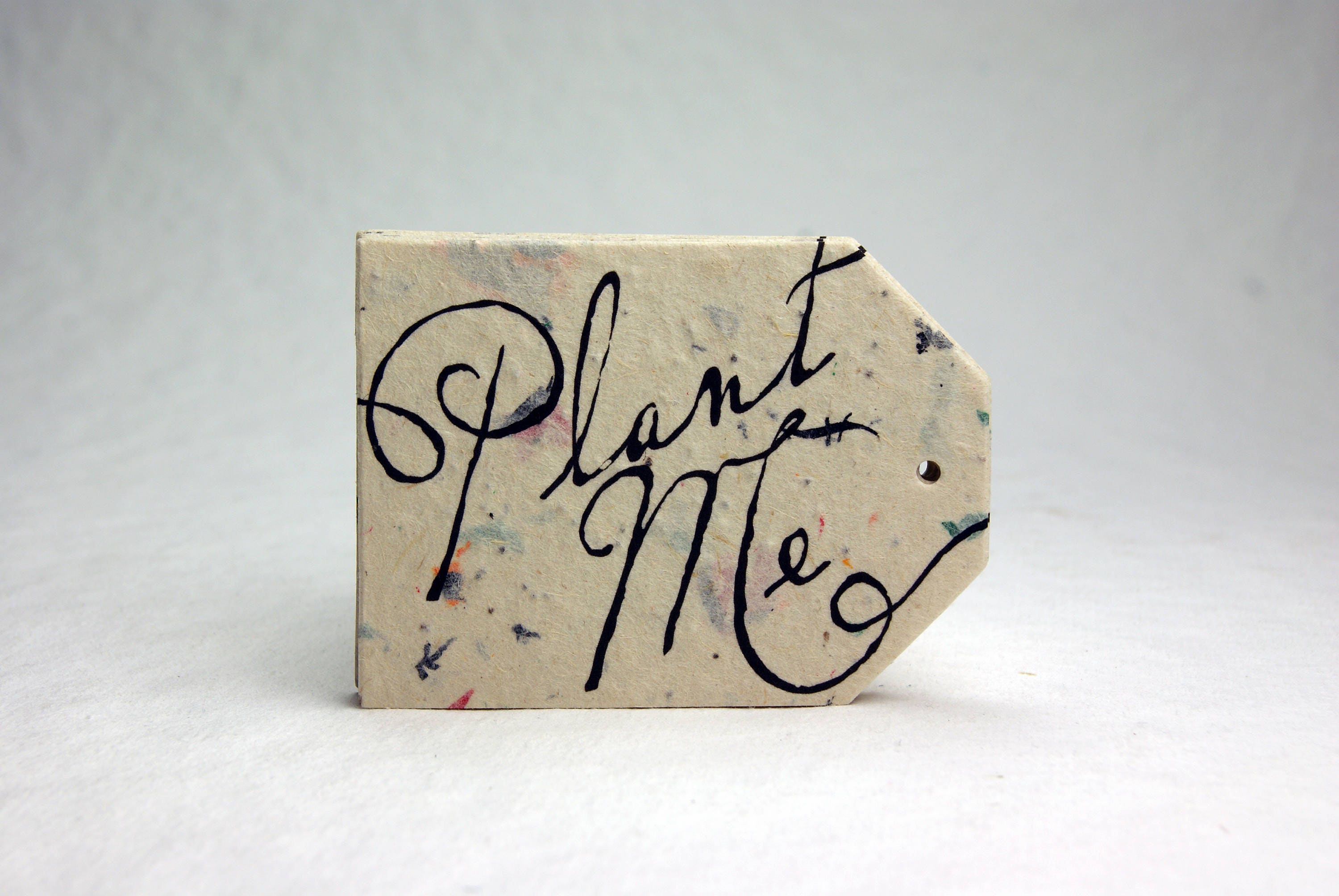 Large Seed Paper Tags 2.5 Wide by 3.375 Tall - Etsy