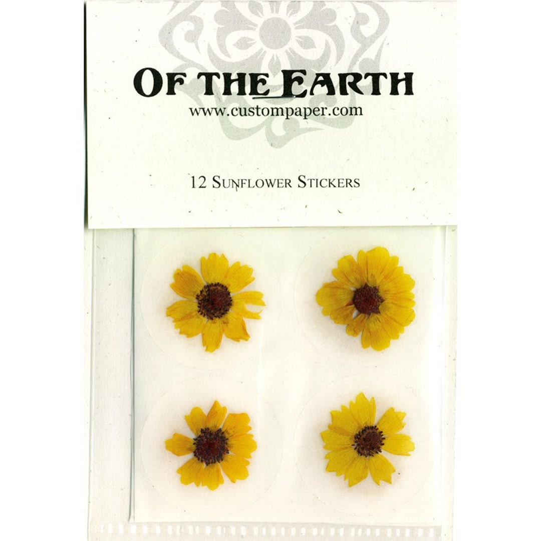 Sunflower 1" Real Pressed Flower Decorating Stickers - Pack of 12 - Not ...