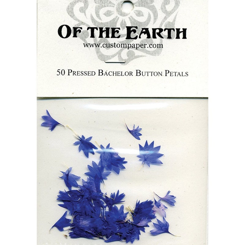 Bachelor Buttons - Etsy