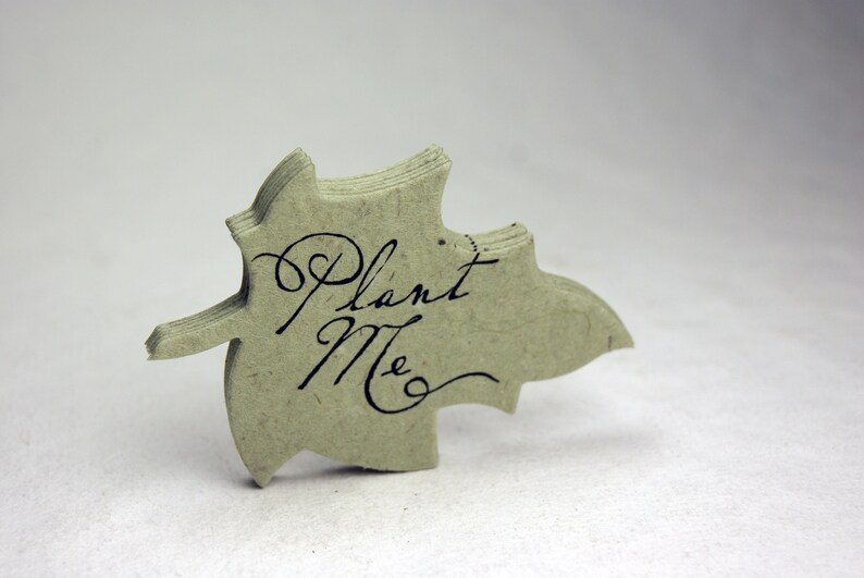 Plant Me Leaf Seed Paper Shape 3 X 2 Wildflower - Etsy