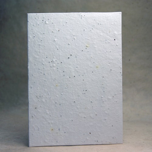 Handmade Seed Paper White Cotton With Wild Flower Seeds 10 - Etsy