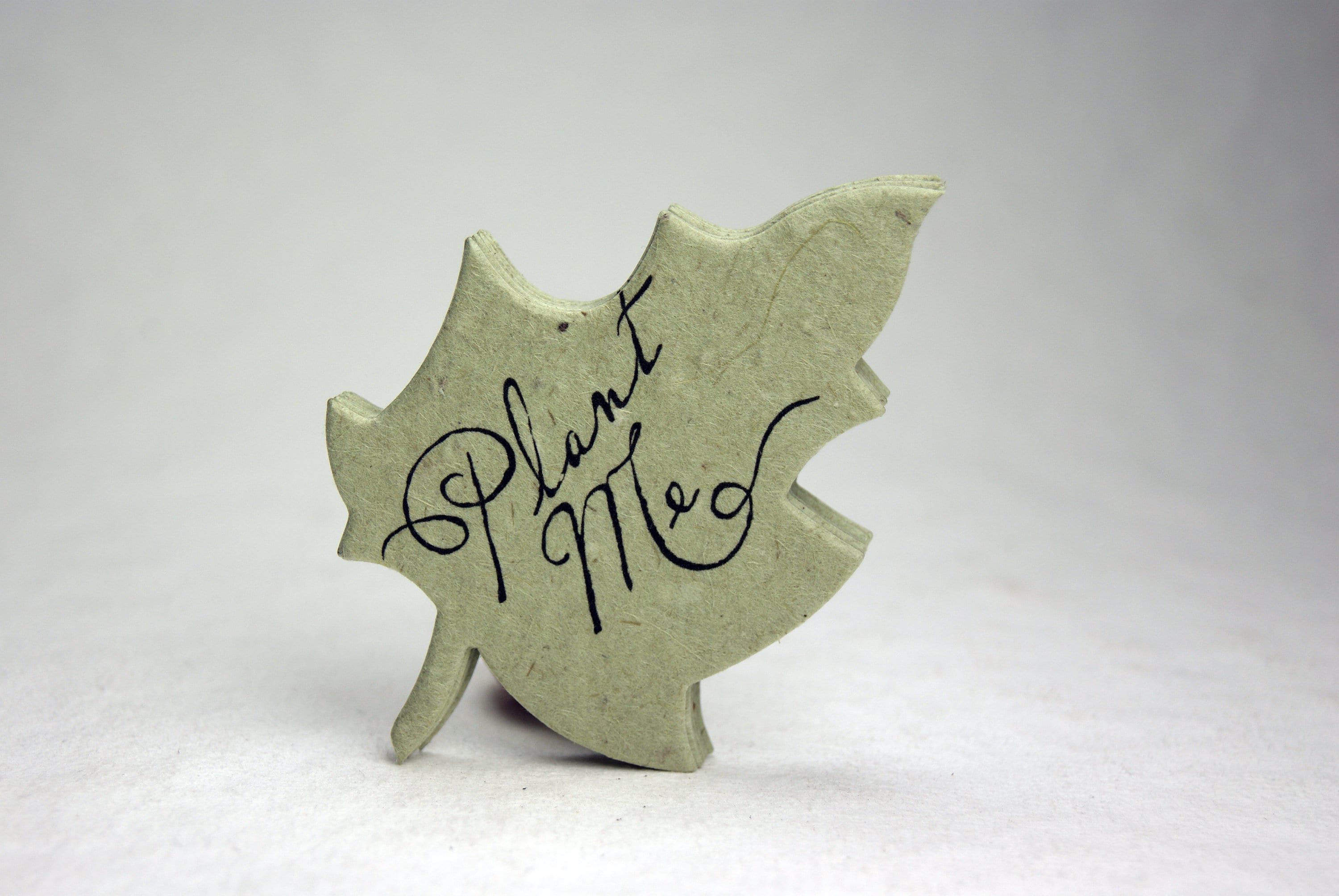 Plant Me Leaf Seed Paper Shape 3 X 2 Wildflower - Etsy