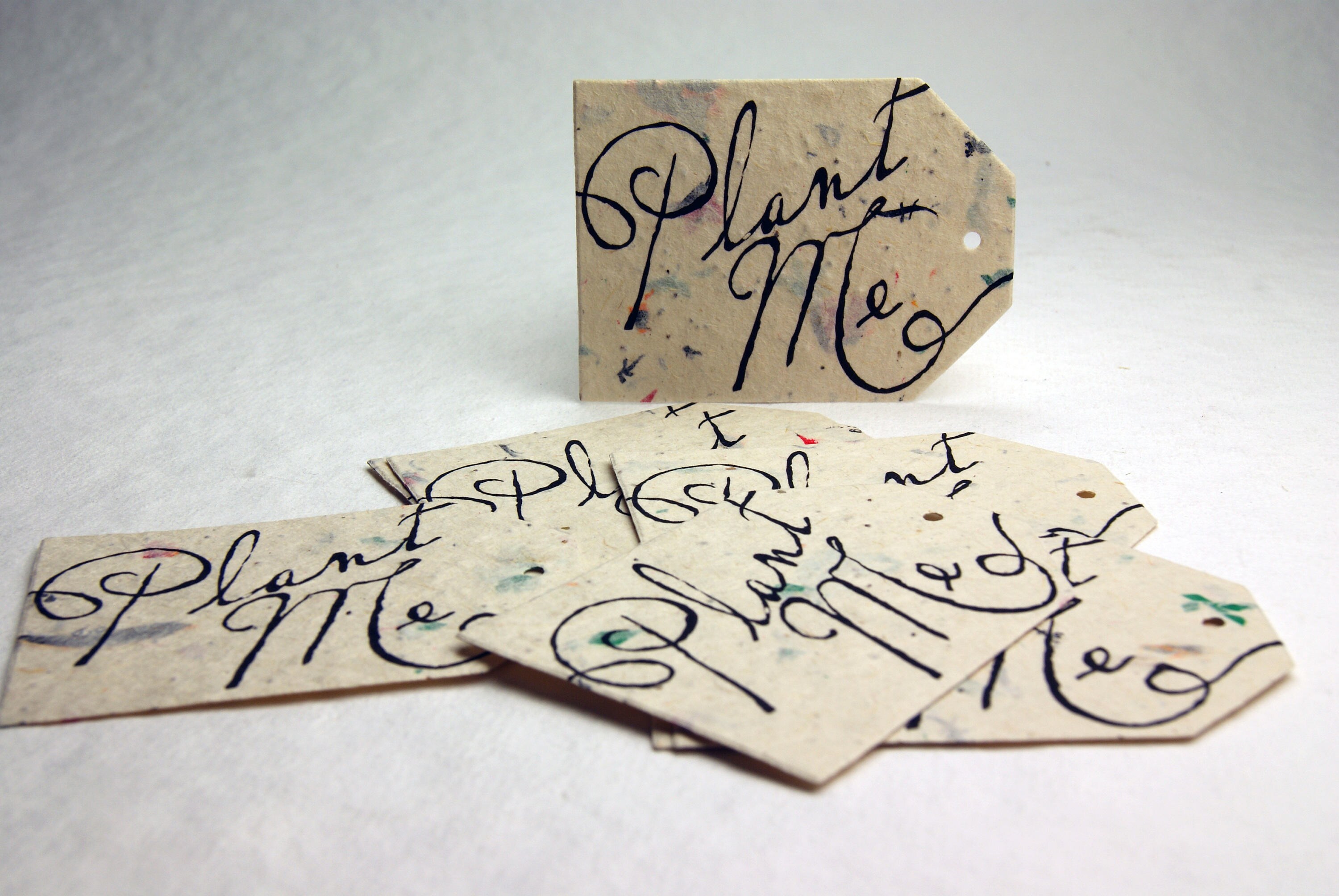 Large Seed Paper Tags 2.5 Wide by 3.375 Tall - Etsy