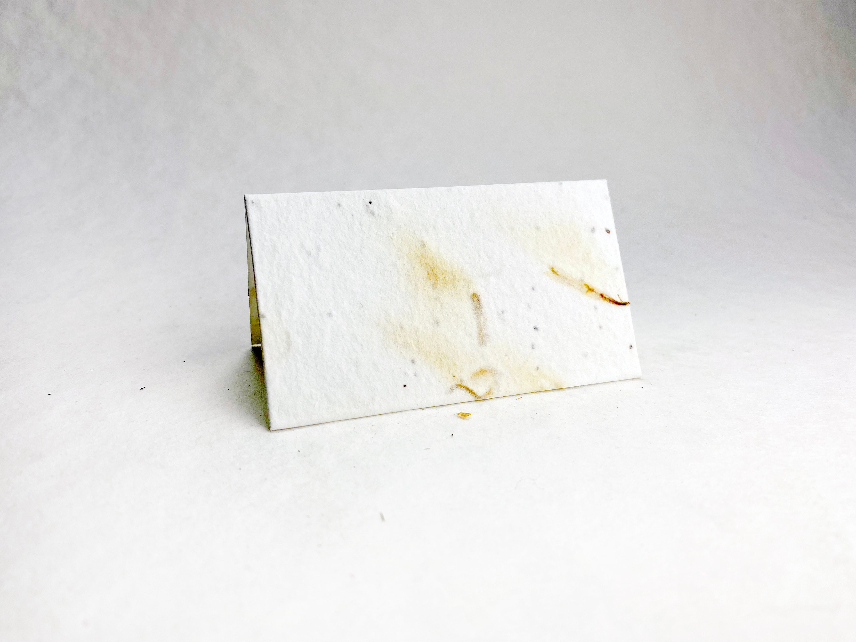 Flower Seed Paper Folding Table Card Place Card Name Card | Etsy