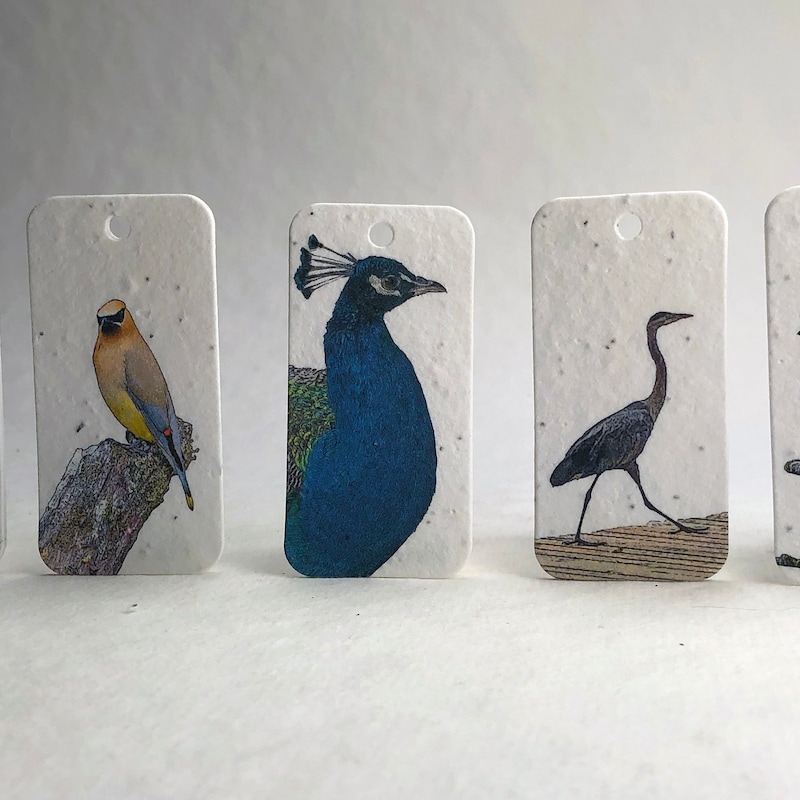 Gift Tags Bird - 60+ Gift Ideas for 2024