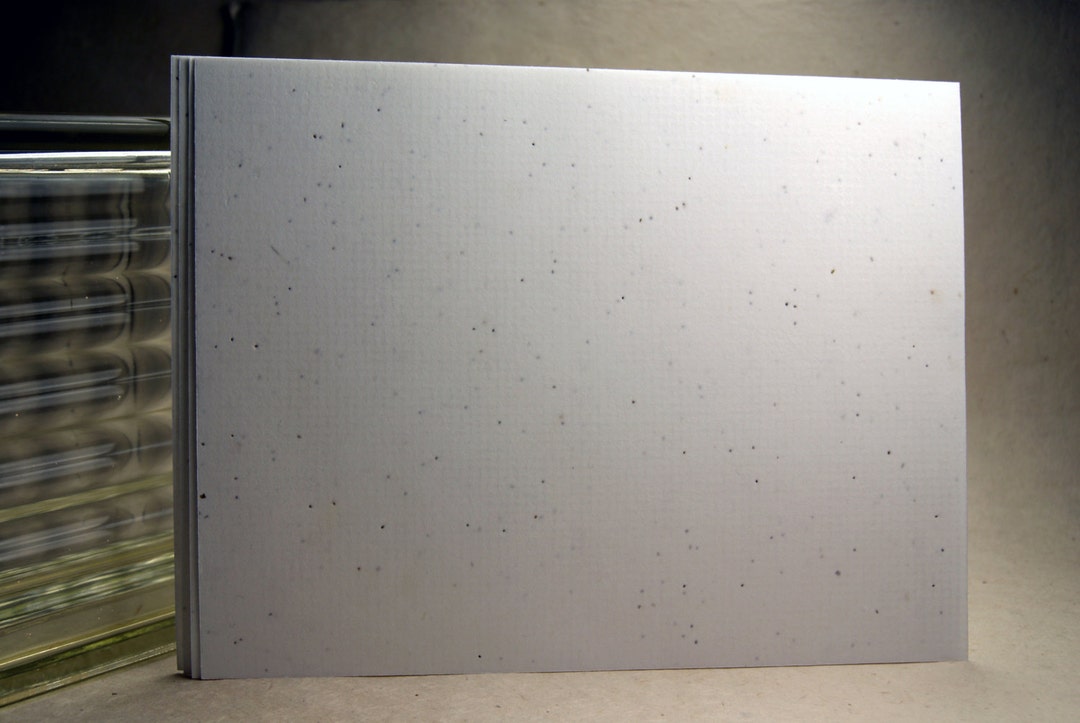 White Seed Paper Heavy Weight (80lb.) 8.5" X 11" Pack of 8 Handmade ...