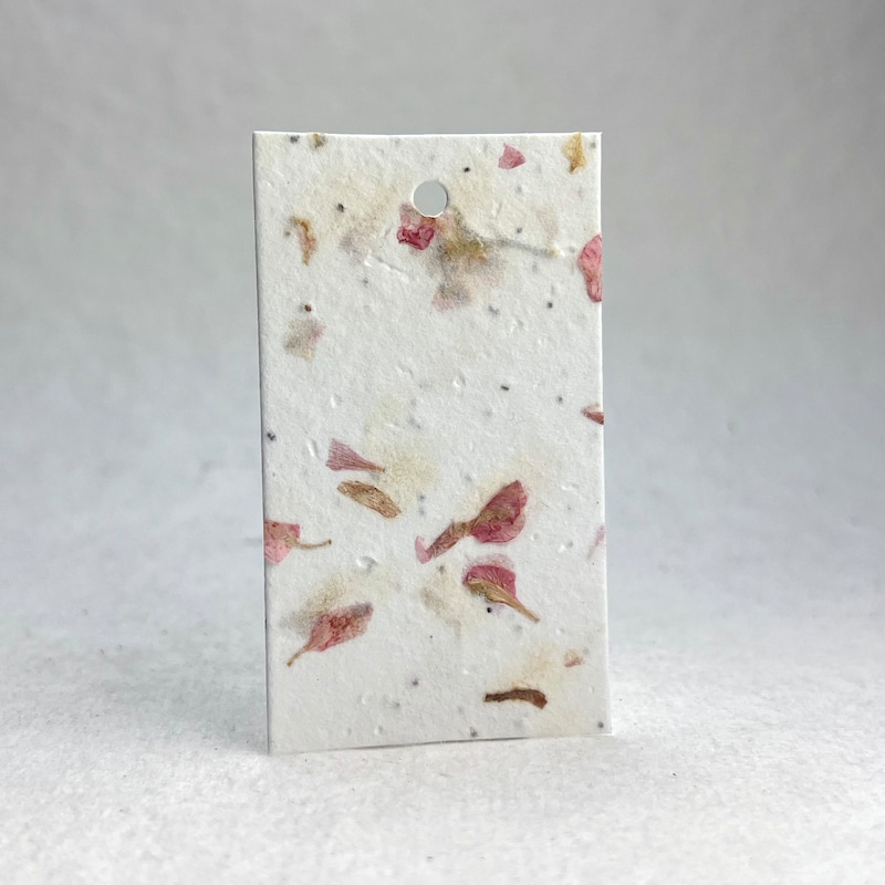 Seed Paper - Etsy