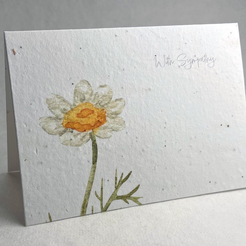 Daisy Note Cards - Etsy