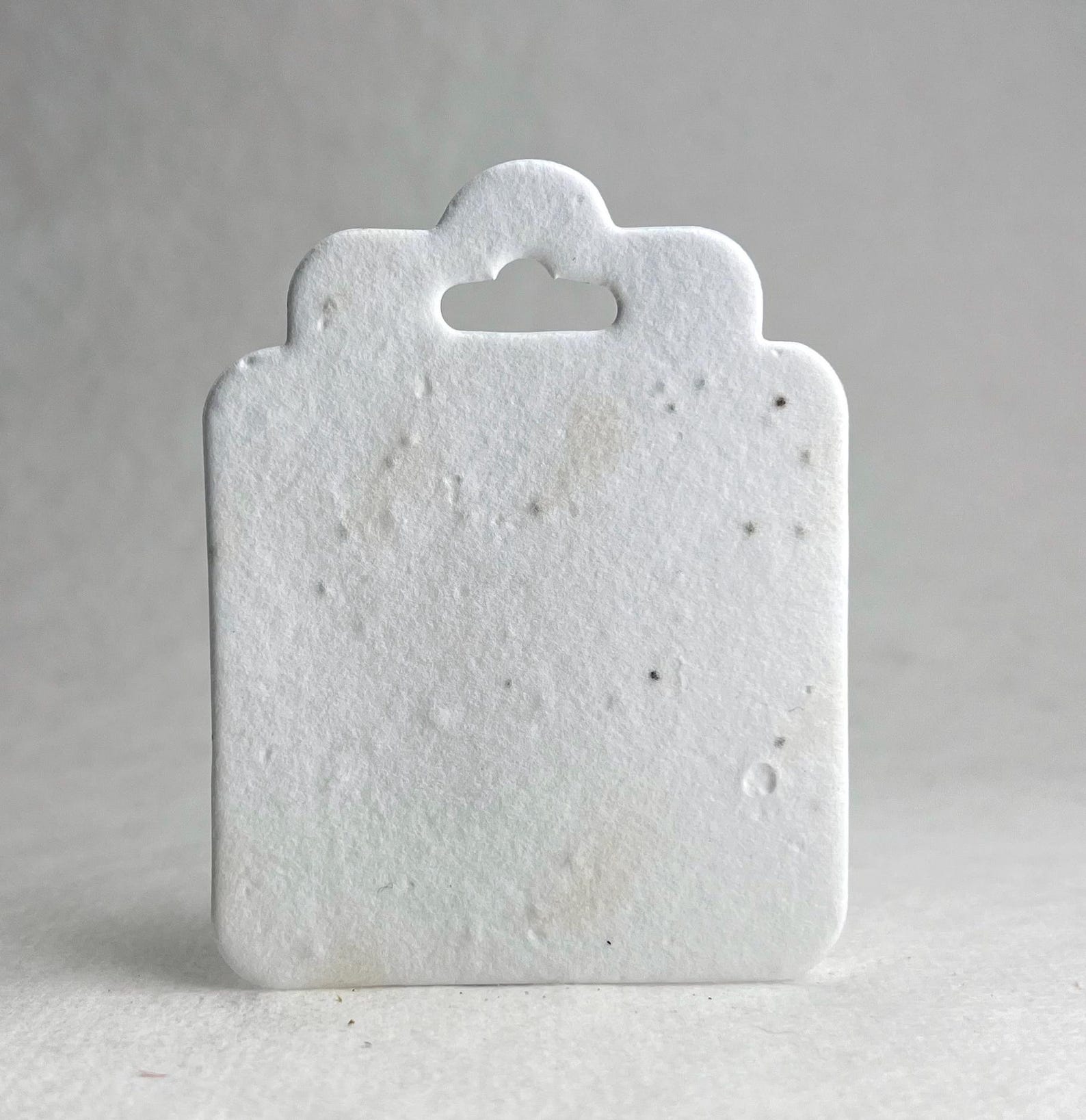 Large Seed Paper Tags | 2.75" Wide by 3.5" Tall | Wildflower Seed ...