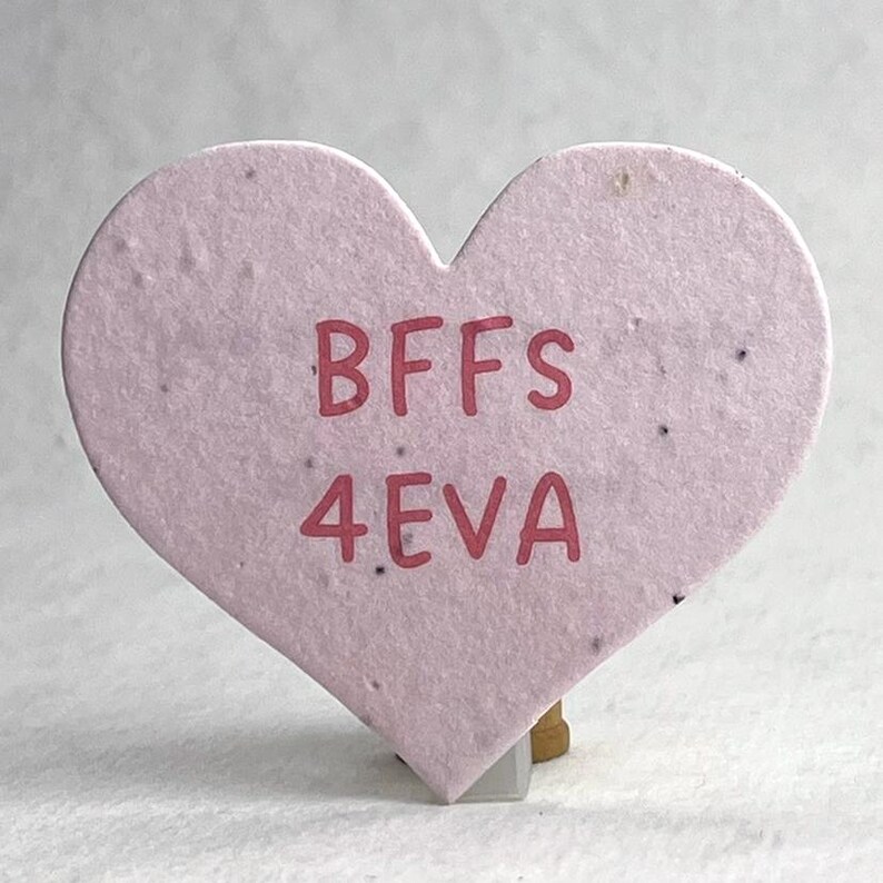 Large Seed Paper Heart Valentines - Conversation Hearts With Assorted ...