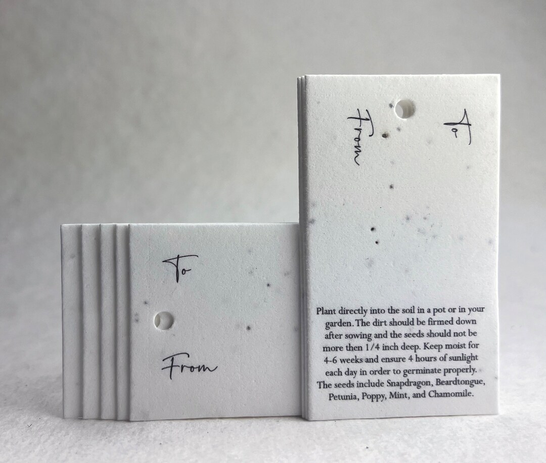 Simple Elegant Seed Paper Gift Tags 2" Wide by 3.5" Tall Set of 16 - Etsy