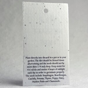 Eucalyptus Watercolor Seed Paper Gift Tags 2 Wide by - Etsy