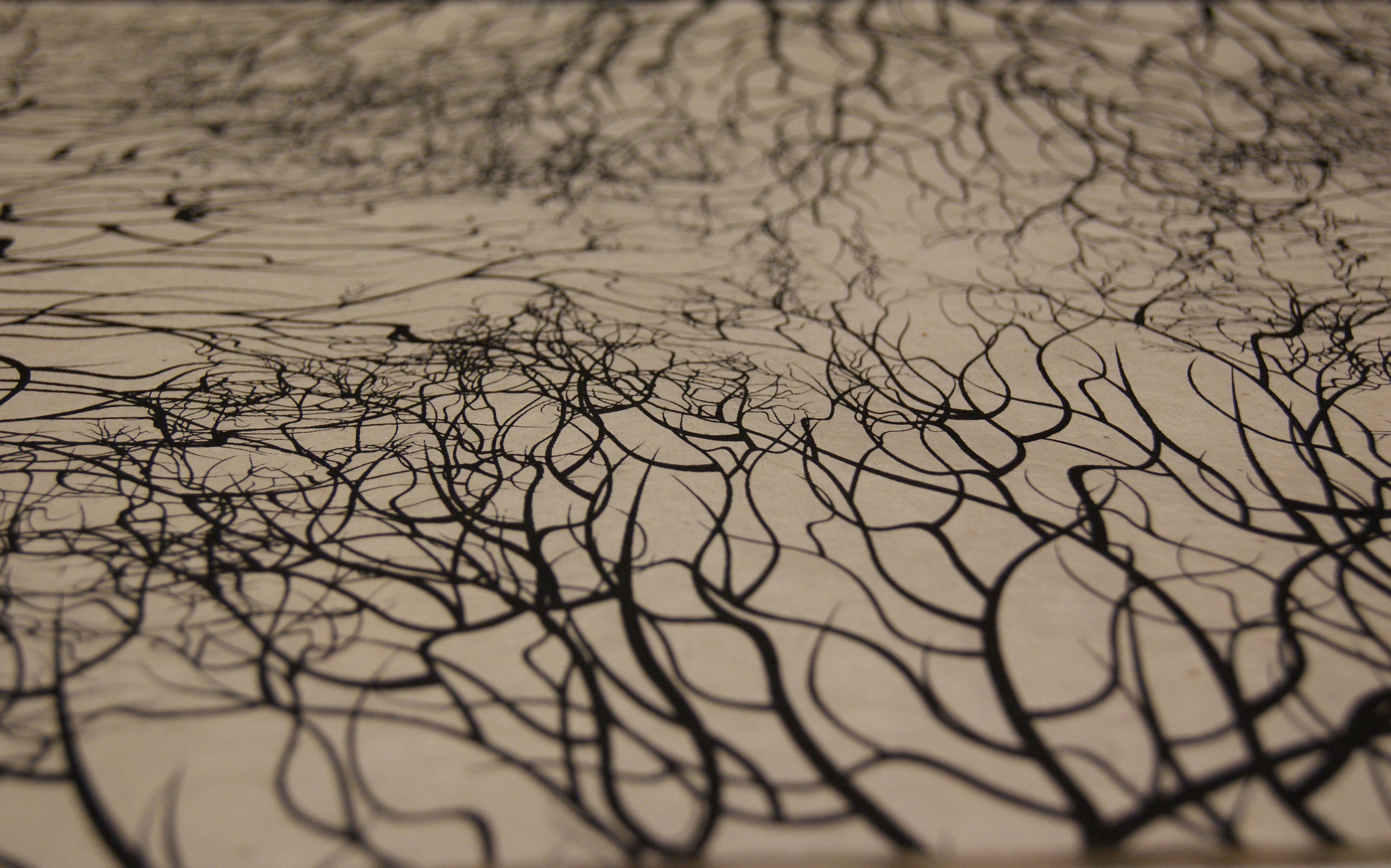 Tree Root Pattern Lotka Wrapping Paper Holiday Gift Wrap 3 | Etsy