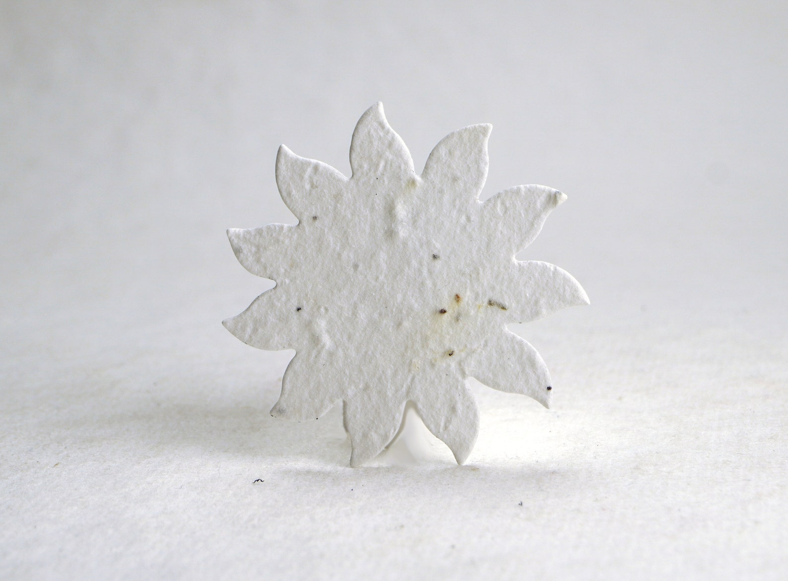 Seed Paper Flower Shapes | Wildflower Seeds | Cotton Shapes for ...
