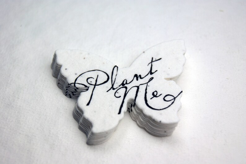 Large plant Me Seed Paper Butterflies 3w X - Etsy