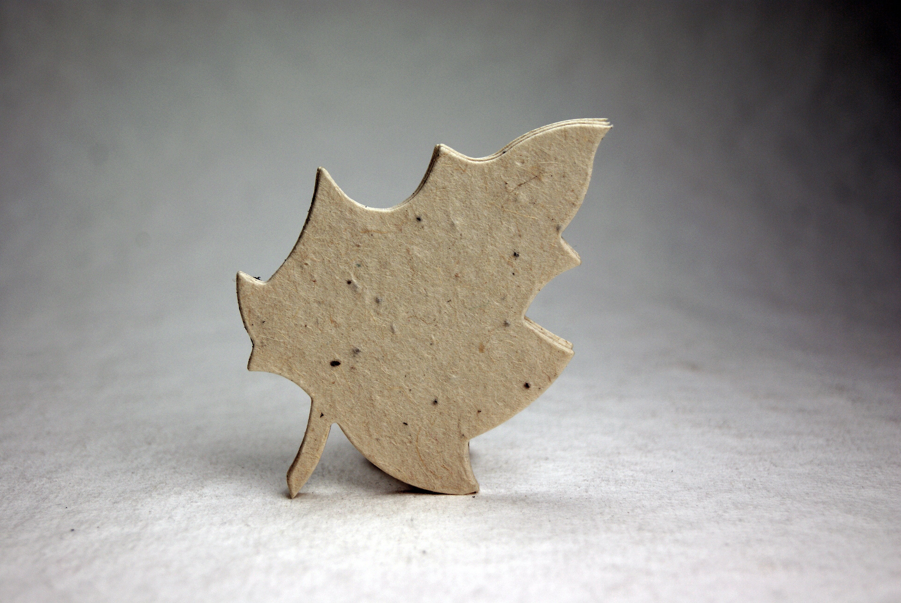 Seed Paper Leaf Shape 3" X 2" Wildflower Lotka Recycled Fibers 60s for ...