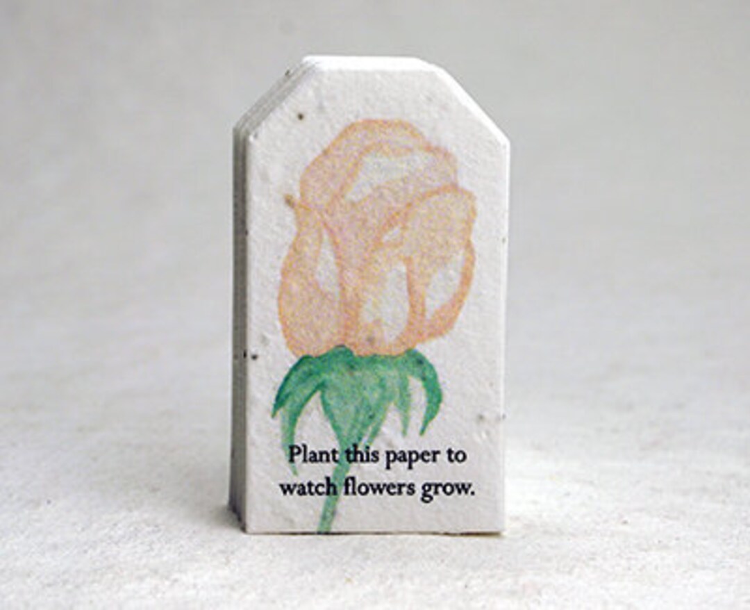 Peach Rose Seed Paper Gift Tag Flower Print Set of Twelve Tiny Tags - Etsy