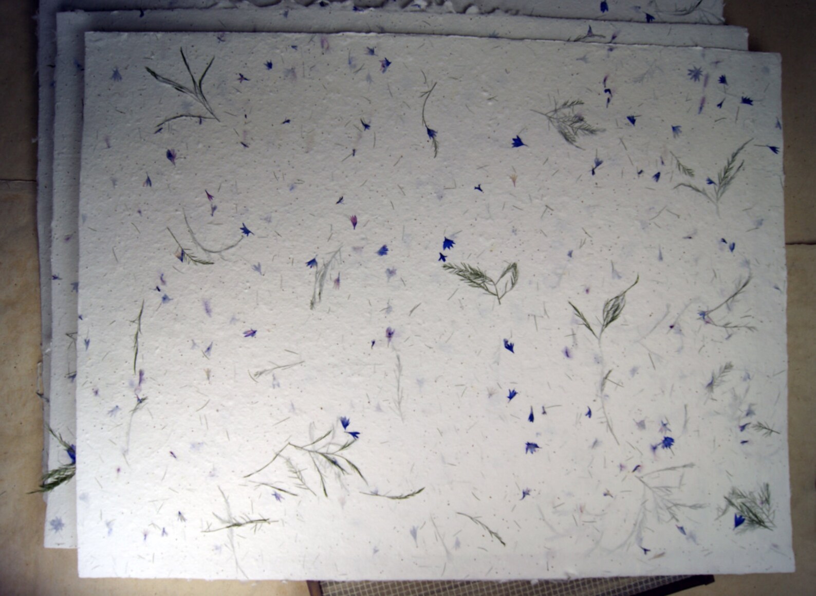 Handmade Seed Paper With Green Tree Fern and Blue Cornflower - Etsy