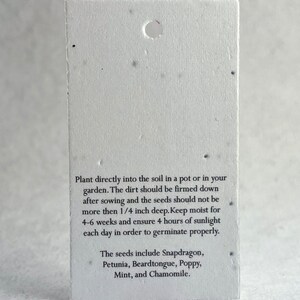 Color Swash Watercolor Art | Handmade Wildflower Seed Paper | 3" by 2 ...