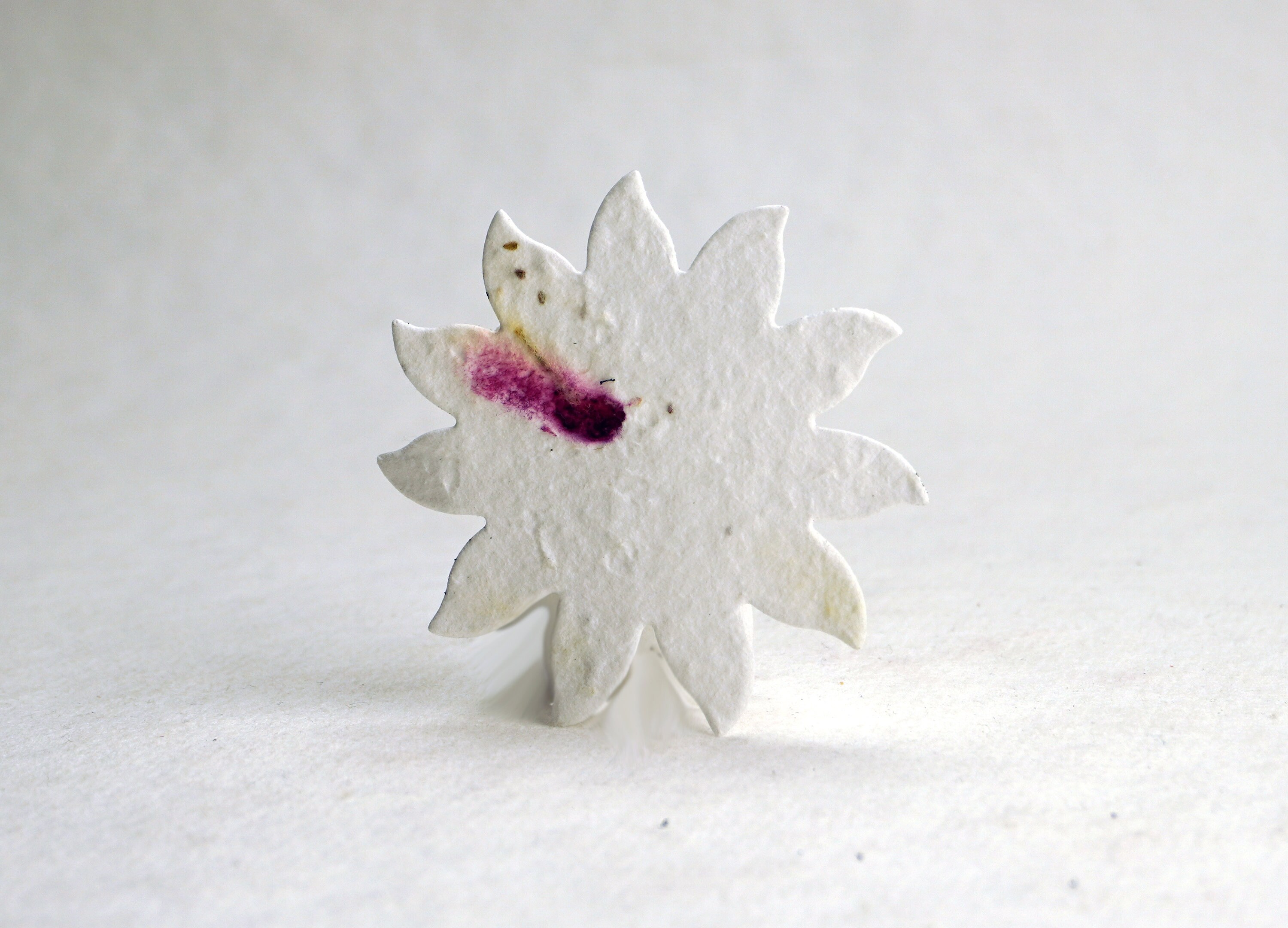 Seed Paper Flower Shapes | Wildflower Seeds | Cotton Shapes for ...