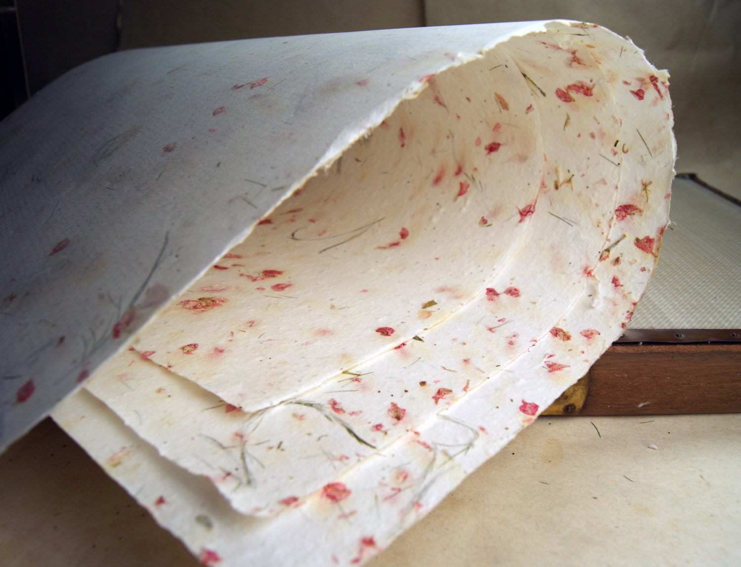 Handmade Seed Paper With Tree Fern and Pink Petals 3 Sheets - Etsy UK