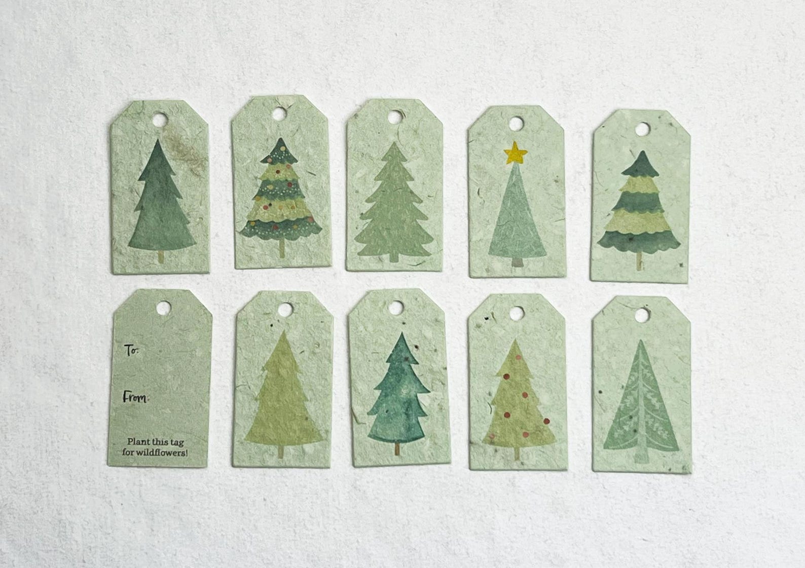 Green Winter Trees Gift Tag Set of 20 Seed Paper Hang Tags 1.25" Wide ...
