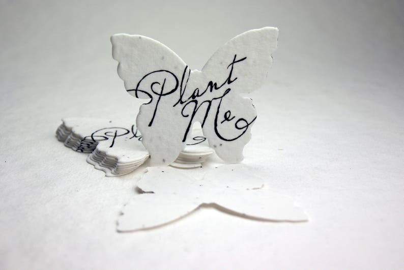 Large plant Me Seed Paper Butterflies 3w X - Etsy