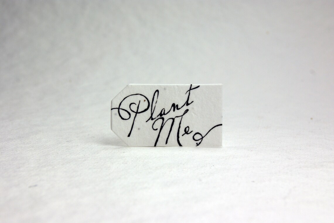 Bulk Pack Tiny Seed Paper Tags 1.25 Wide by 2.25 - Etsy