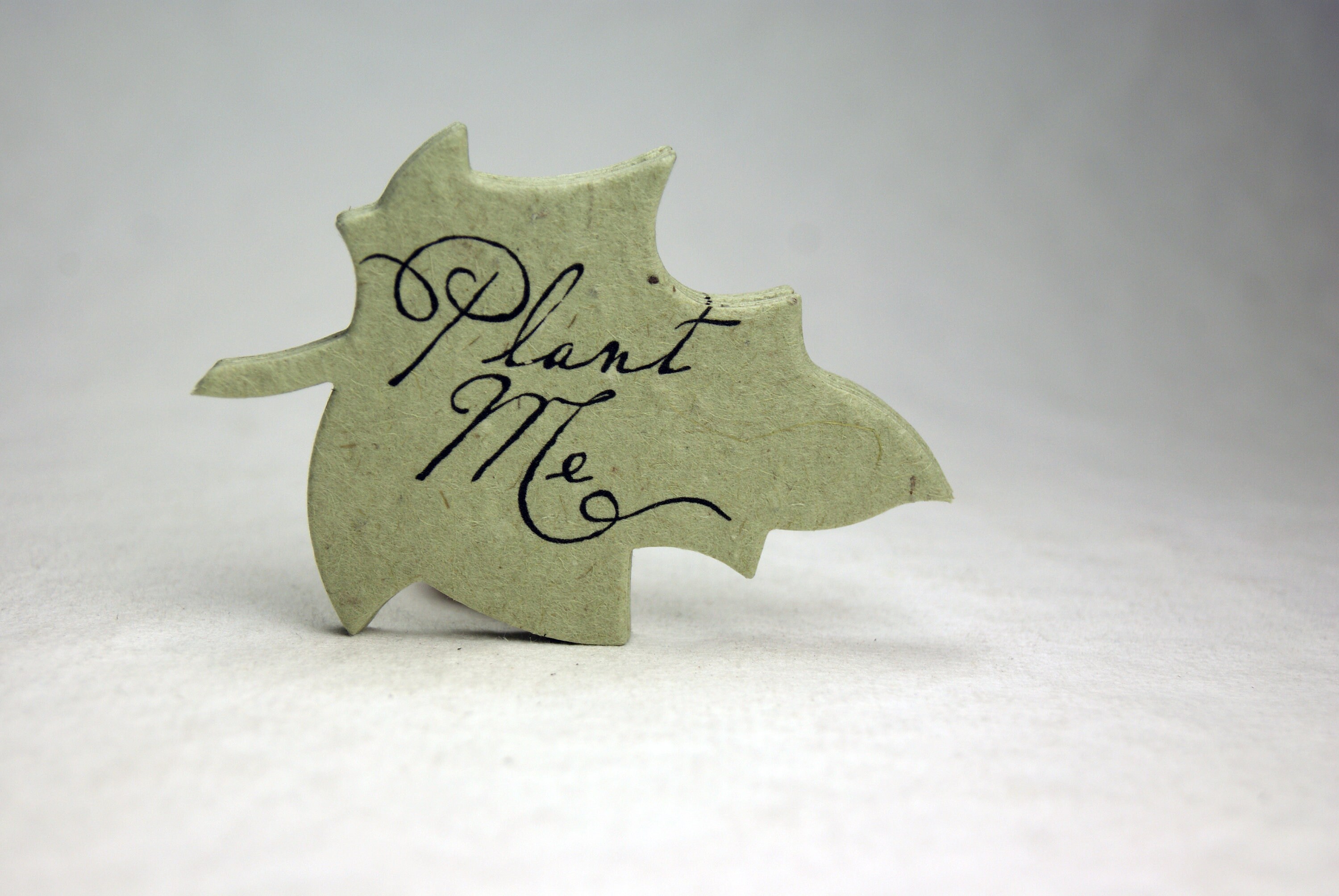 Plant Me Leaf Seed Paper Shape 3 X 2 Wildflower - Etsy